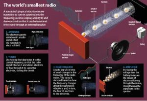 World's smallest radio may cure blindness, detect harmful chemicals ...
