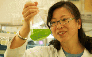 Prime Minister's Prizes for Science winners | Science Illustrated