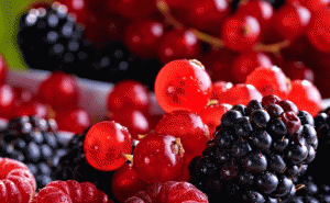 Why are berries healthy? | Science Illustrated