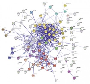 History in the Blood | Science Illustrated