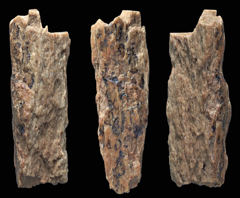 Two human species shared the same cave | Science Illustrated