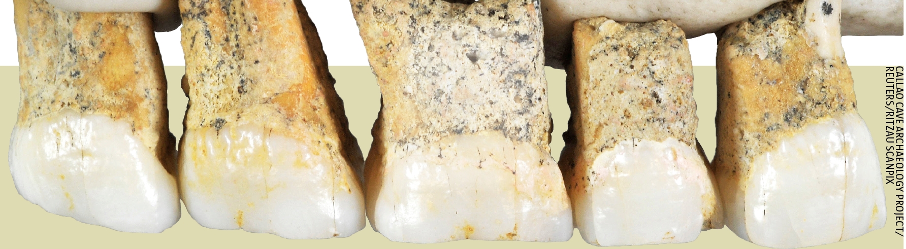 Mysterious old dwarf found in the Philippines | Science Illustrated