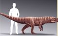 Science Illustrated