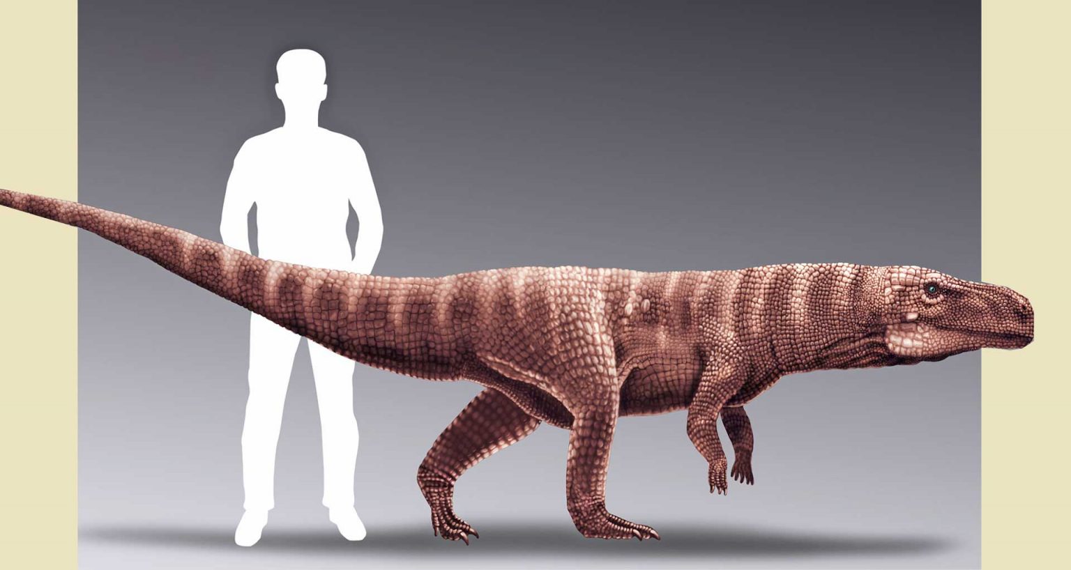 Prehistoric flat-footed croc walked on two legs | Science Illustrated