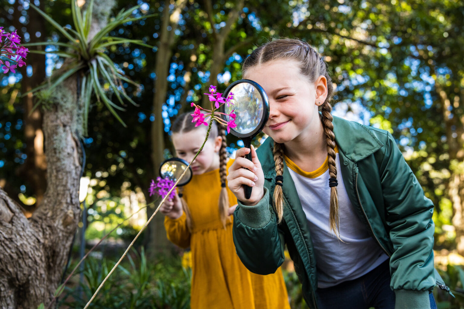 It's National Science Week! | Science Illustrated